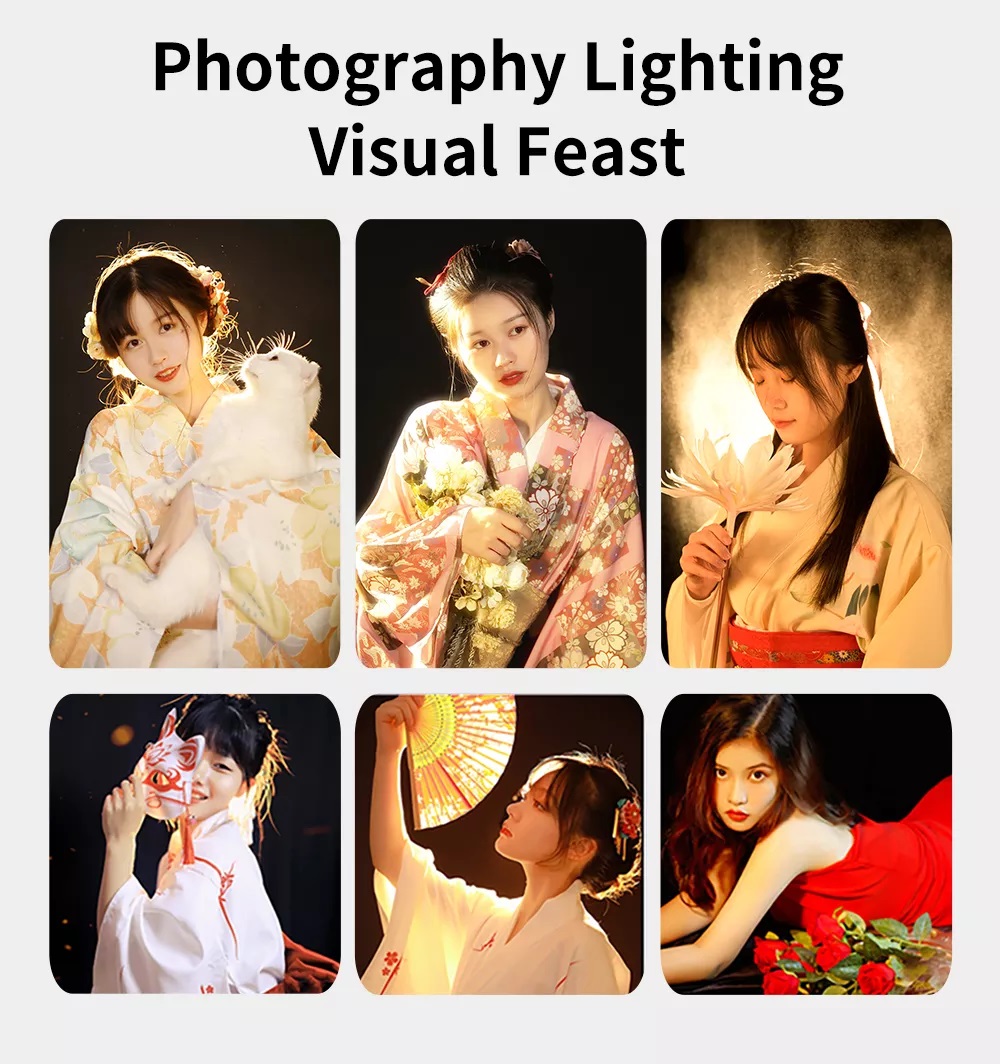 Red head Continous Studio flash light kit (SOMITA kit) - General Pro